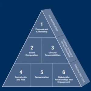 Rygor Group Corporate Governance - Rygor Group